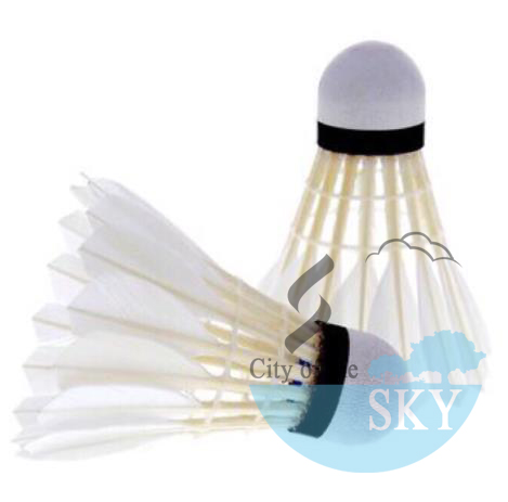 Shop Rocket Badminton Block with great discounts and prices online ...