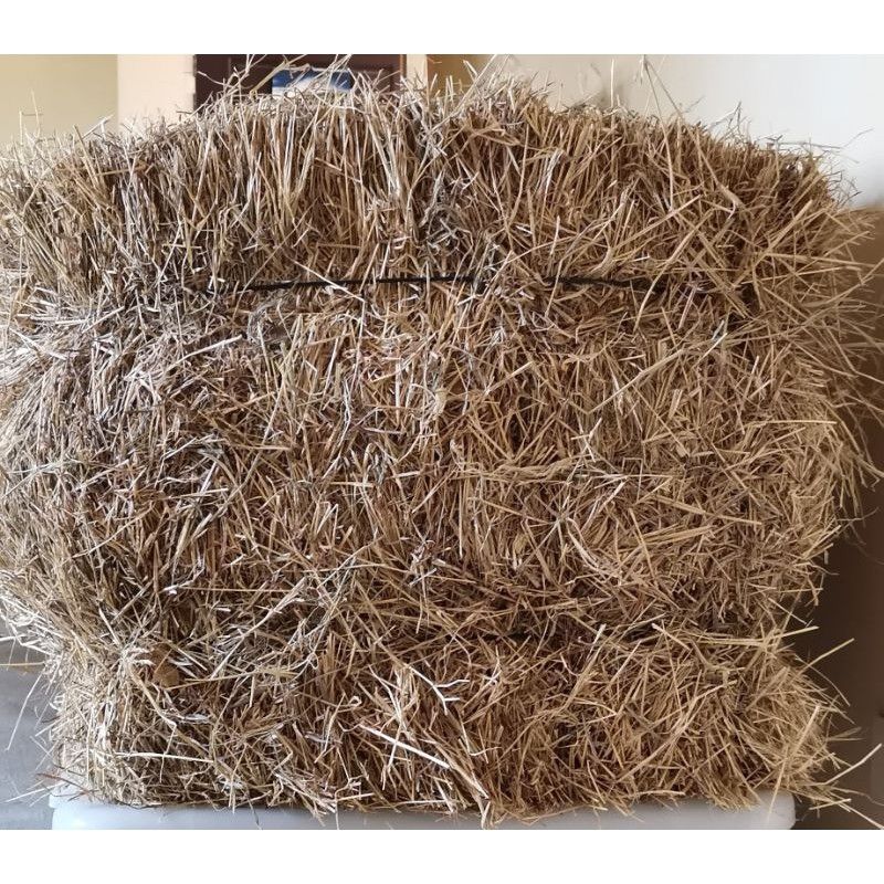 Buy Grass Hay For Rabbits online | Lazada.com.ph