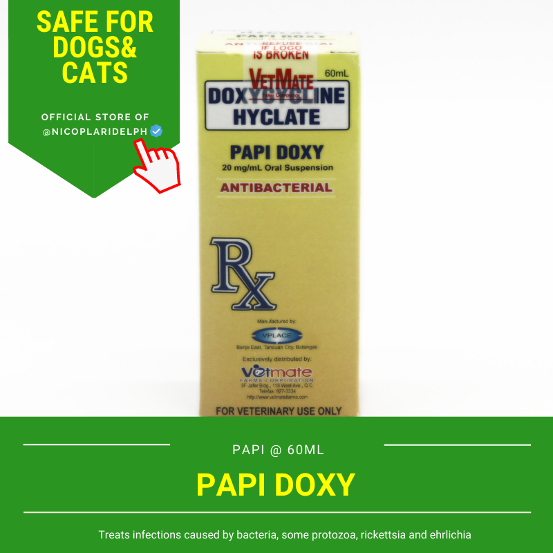 Is Doxycycline Safe For Dogs