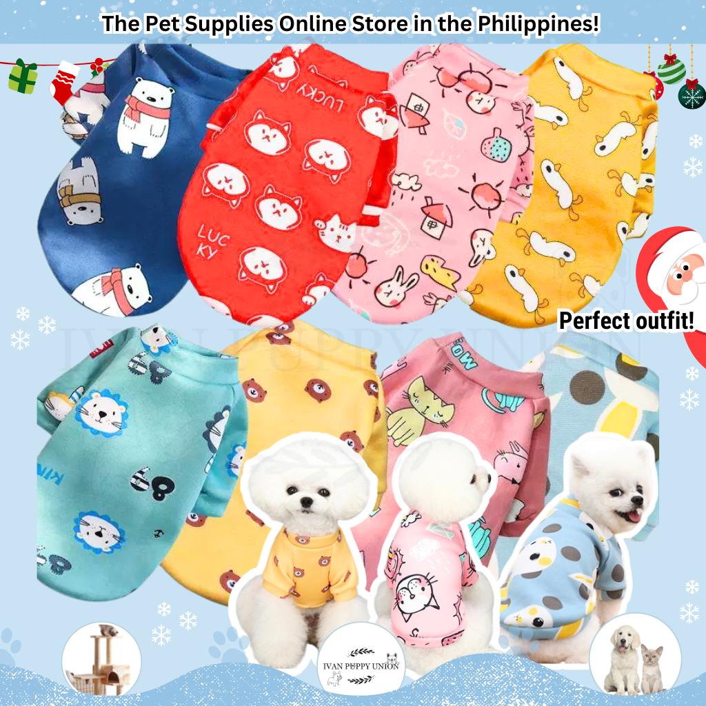 Shop Ivans Outfit with great discounts and prices online - Dec 2024 ...