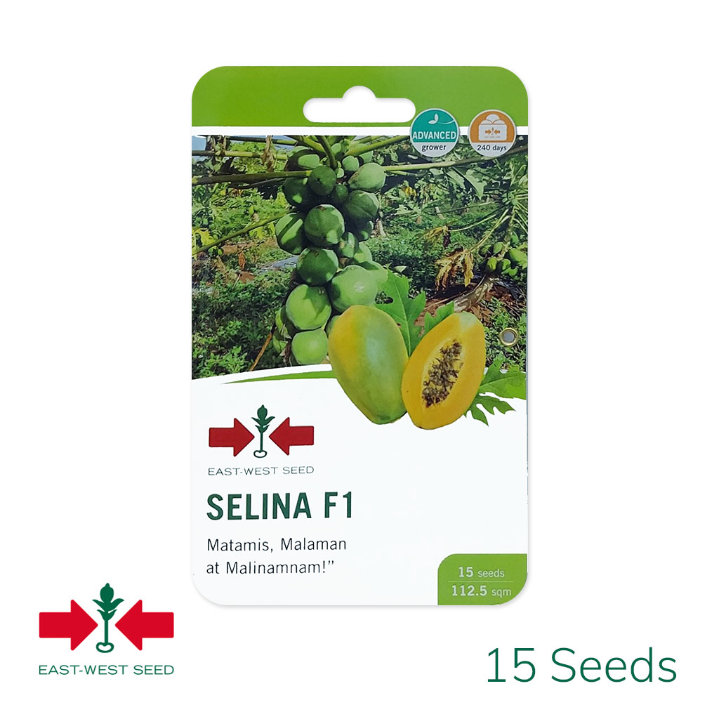 Shop Bella F1 Squash Seeds 50 G with great discounts and prices online ...