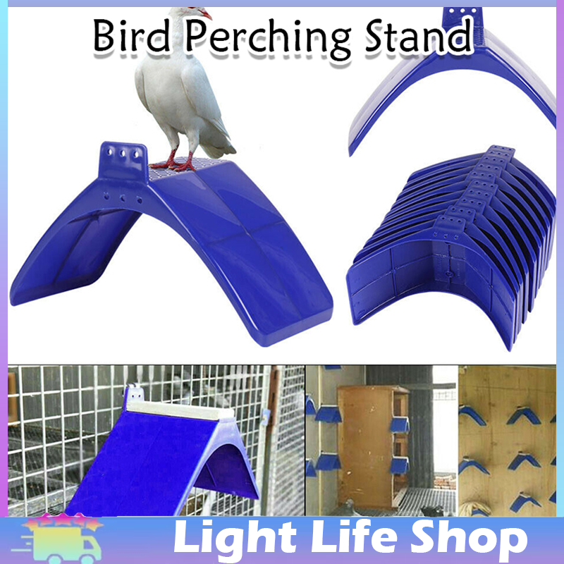 Shop Pigeon Ring 2021 Taiwan with great discounts and prices online ...