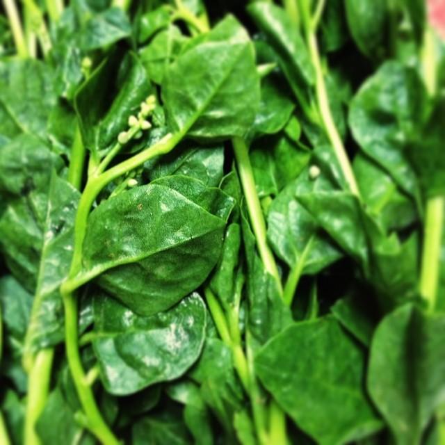 Malabar Spinach, Green, Alugbati, Vietnamese Spinach, Pui,, 45% OFF