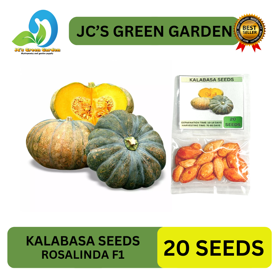 Shop Hybrid Kalabasa Seeds online | Lazada.com.ph