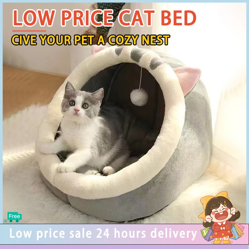 5b5f6f505cc8f06ff4dbcad0dcb88d58.jpg