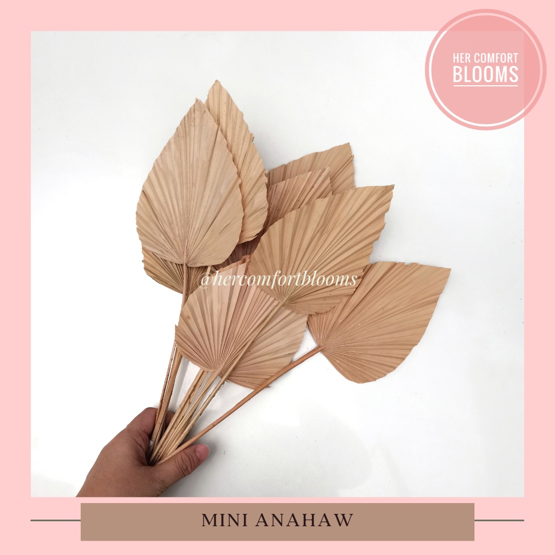 Anahaw