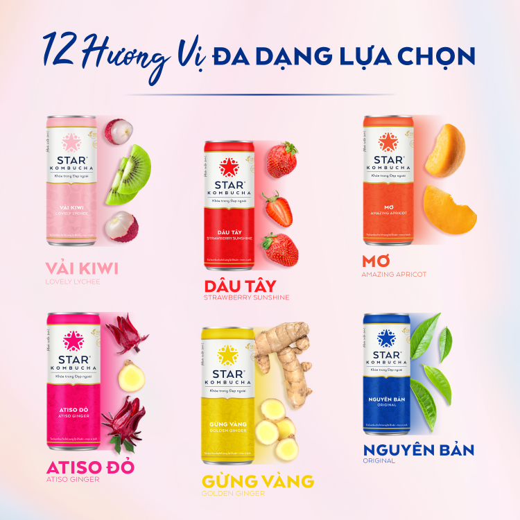 Combo 2 thùng 12 lon trà STAR KOMBUCHA mix vị (250ml/lon) - Trà lên men ...