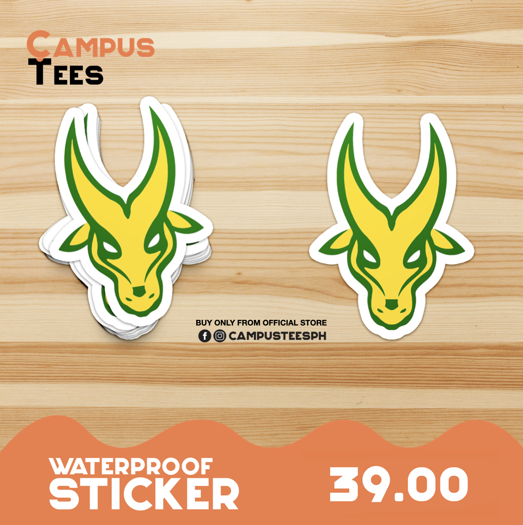 Feu Tamaraw Background