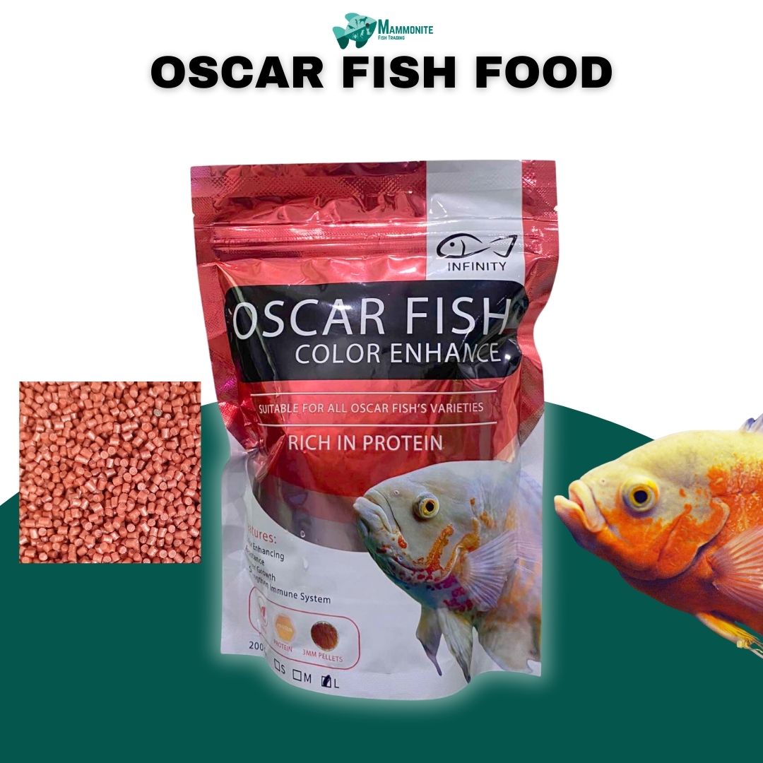 Oscar Fish Food