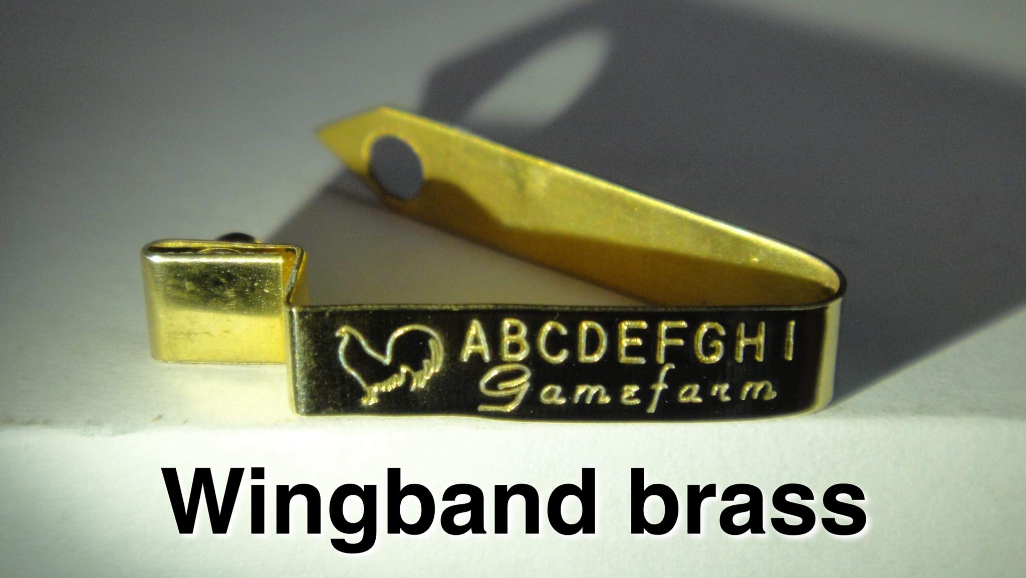 Buy Wingband And Legband Applicator online | Lazada.com.ph