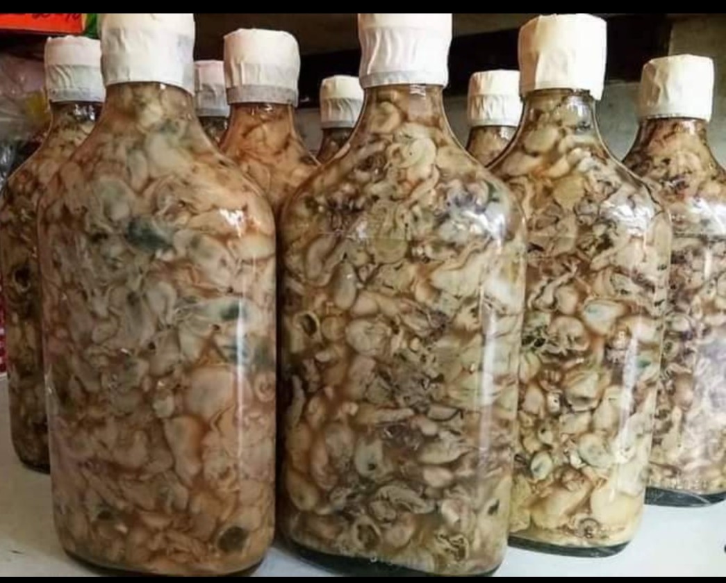 Shop Bagoong Isda Ng Batangas with great discounts and prices online ...