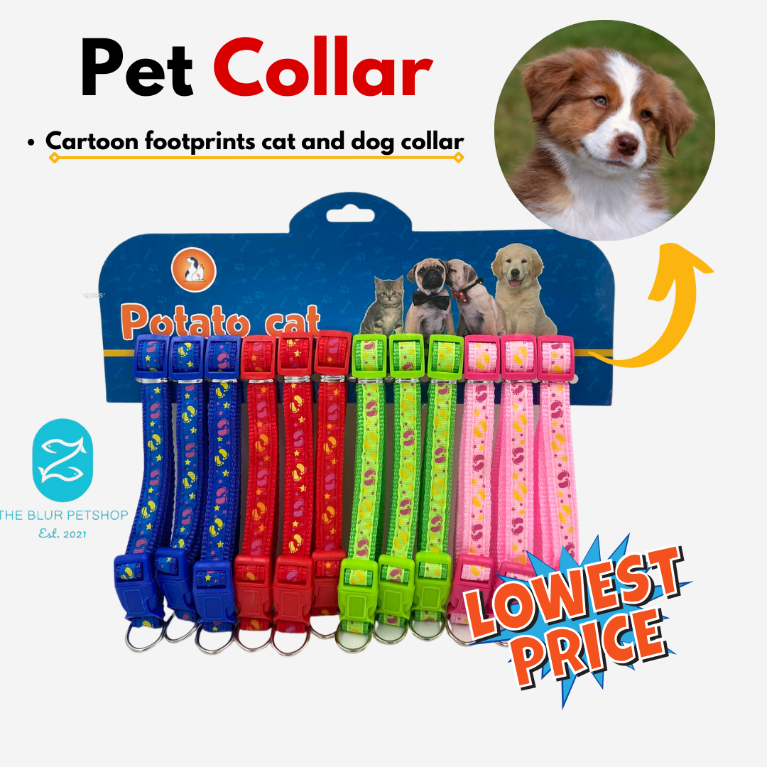 Shop Muzzle For Humans with great discounts and prices online - Dec ...