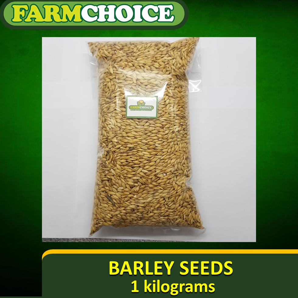 Buy Timothy Hay Seeds online | Lazada.com.ph
