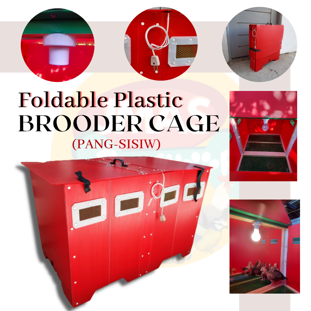 Buy Foldable Chicken Cage online | Lazada.com.ph