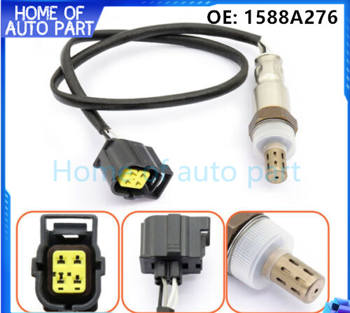 a250be86d3b5968b71a8c0b772e160f0.jpg
