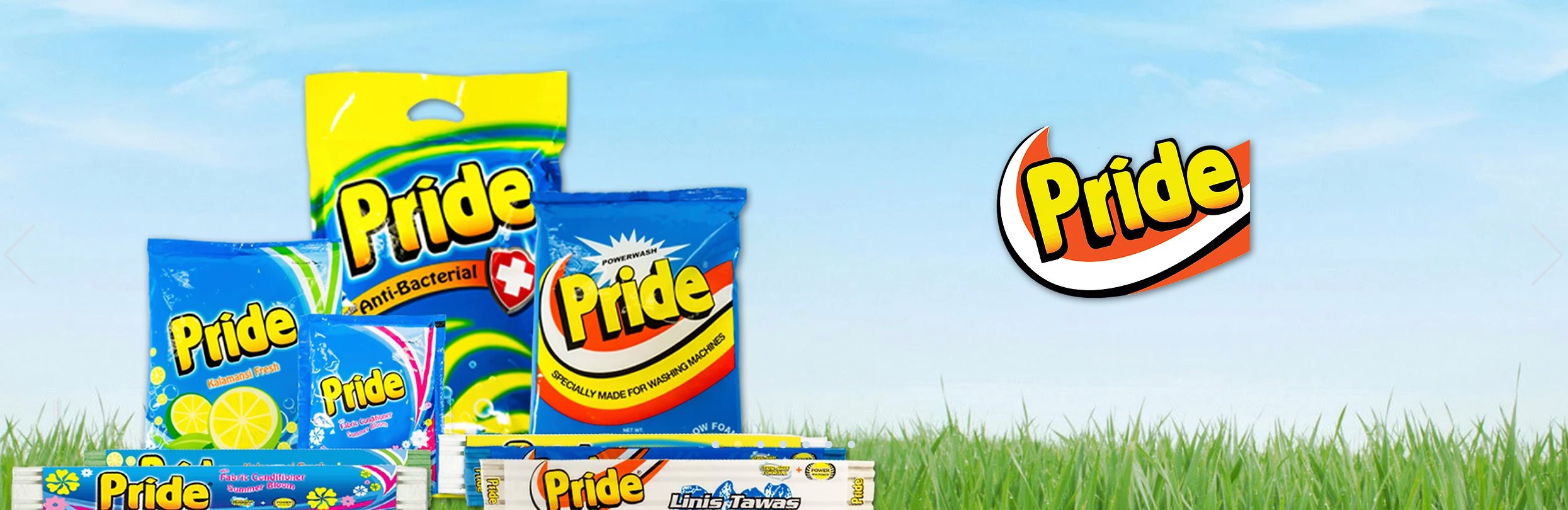 Pride Detergent Logo Pride Products