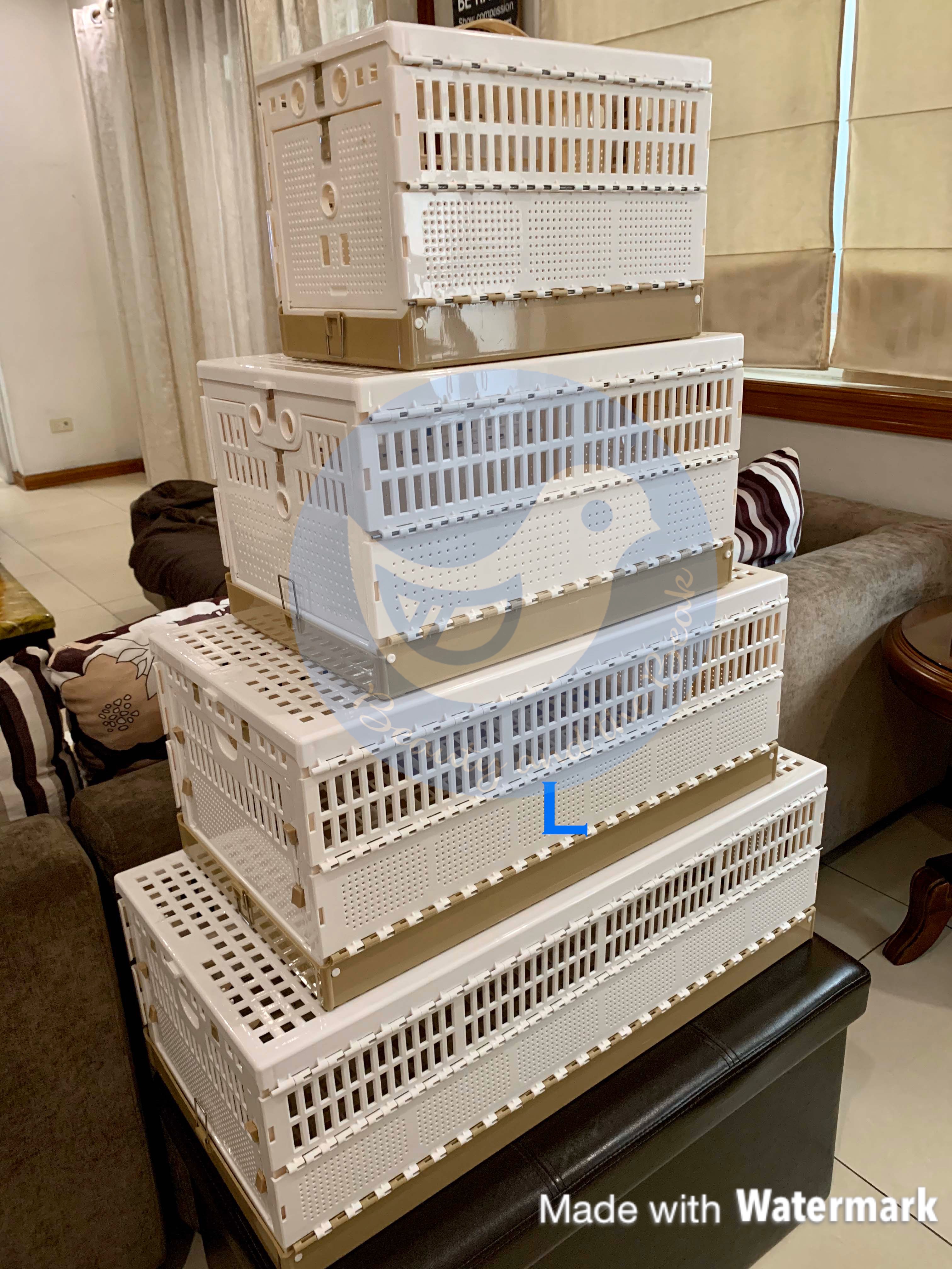 Tbox Academy S/M Taiwan Pigeon Foldable Training Box Tbox Cage Plastic