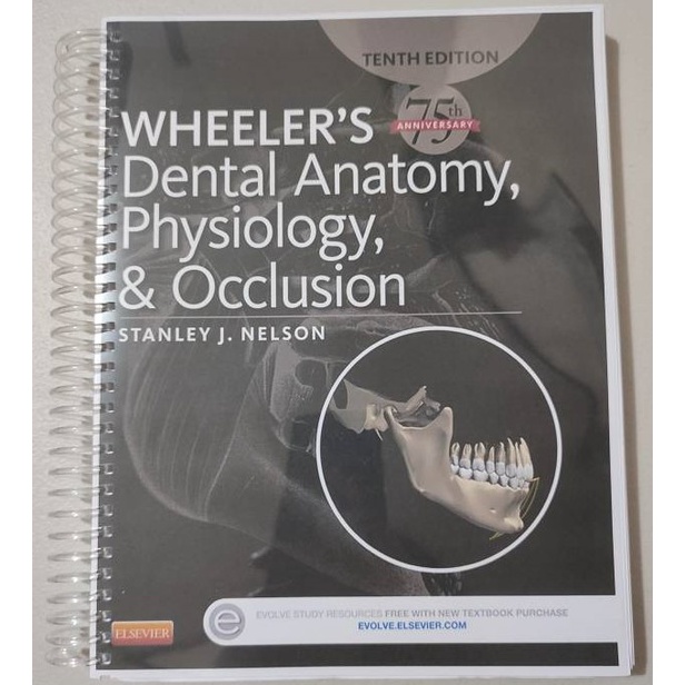 Wheeler's Dental Anatomy Physiology And Occlusion Pdf at Phillip Dorsey ...