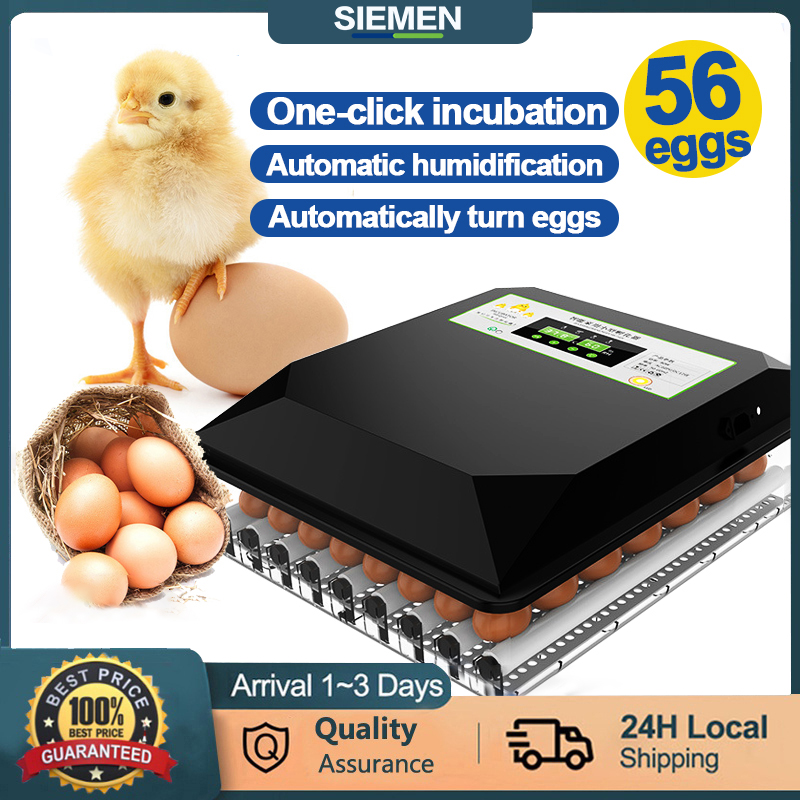 Shop Inca Incubator with great discounts and prices online - Jun 2024 ...