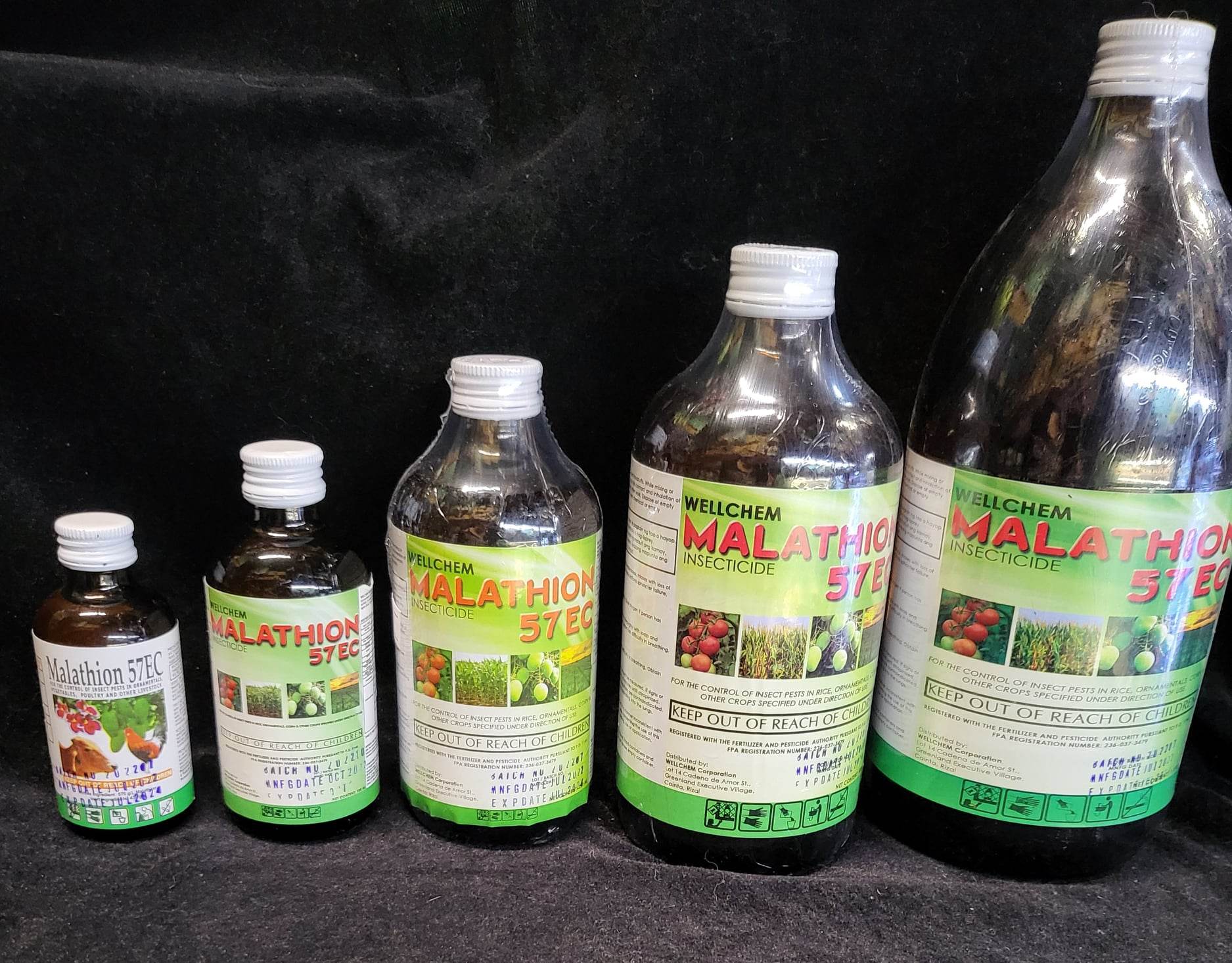 cac1c476faae3011a0b706c0cbeebf9f.jpg