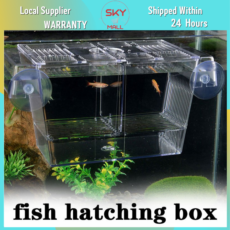 Buy Guppy Breeding Box online | Lazada.com.ph