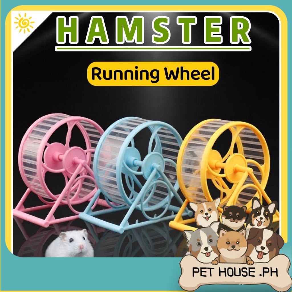 Buy Dog Exercise Wheel online | Lazada.com.ph