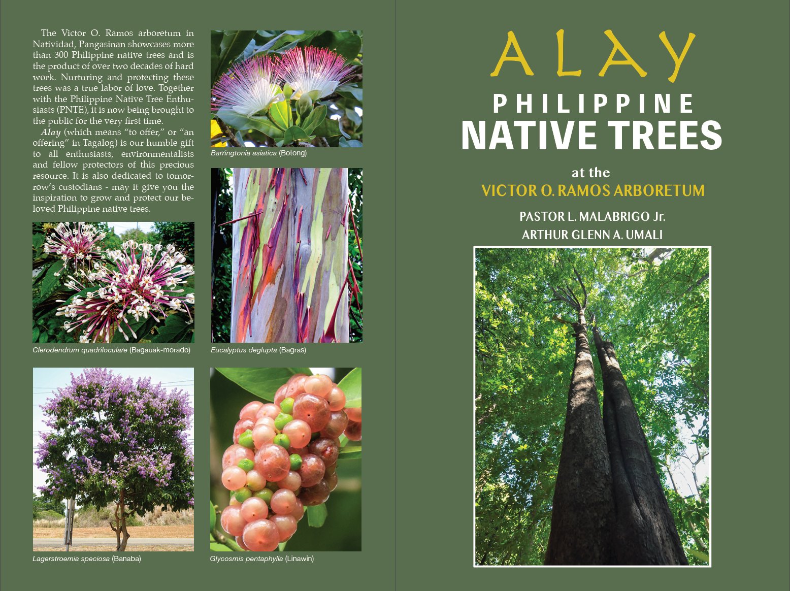 Diffe Types Philippine Trees Names And Pictures Pdf In English ...