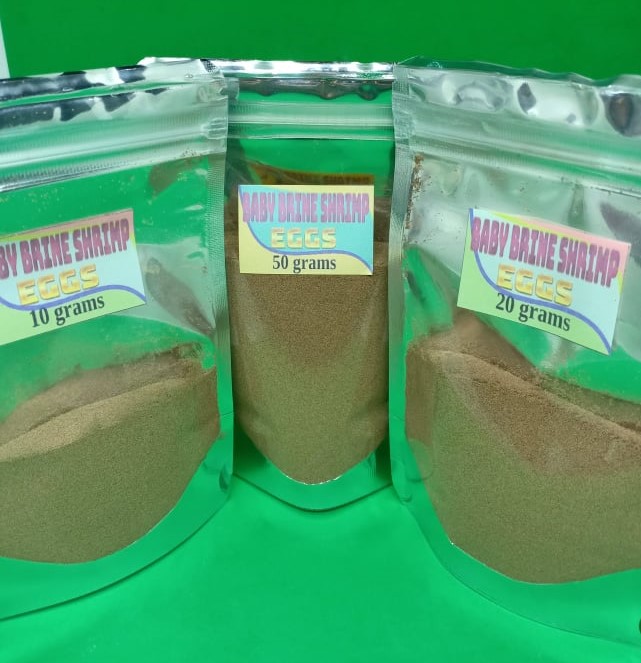 Shop Fingerlings Tilapia Fish online | Pre Starter Tateh Aquafeeds 1Kg ...