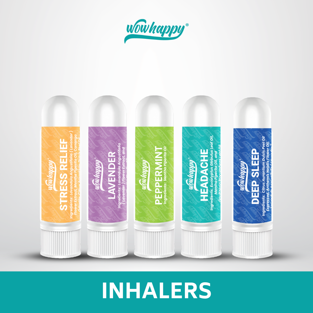 Buy Mini Inhaler online | Lazada.com.ph