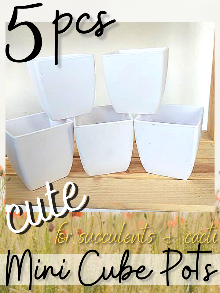 5 Pcs Mini Cube Pots | Plastic Pots | Small Pots | Mini Pots | Indoor ...