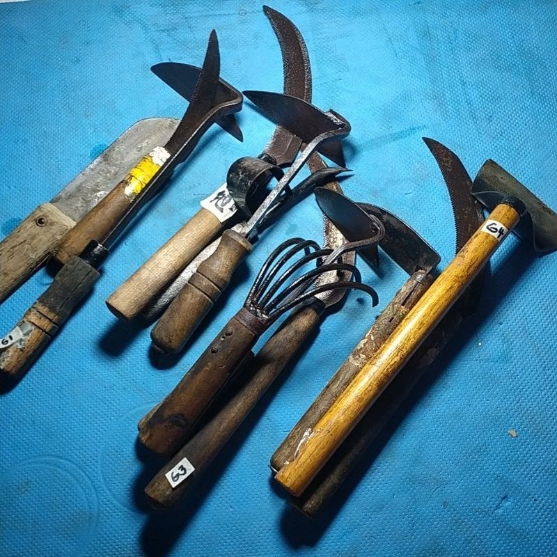 Hmong Garden Tools | Fasci Garden
