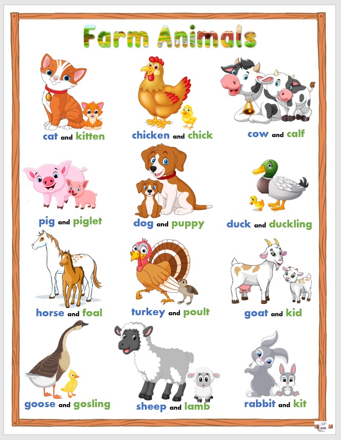 Animal Chart For Kids Download Free Printables, 51% OFF